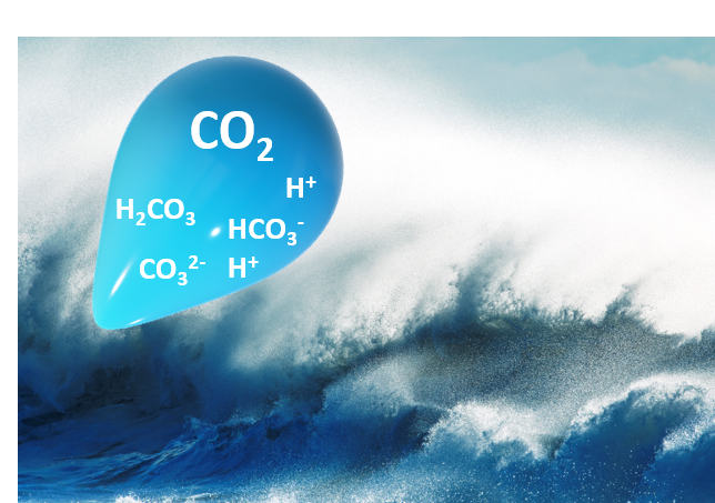 SSAGE (NSF) | Environmental Chemistry & Geochemistry